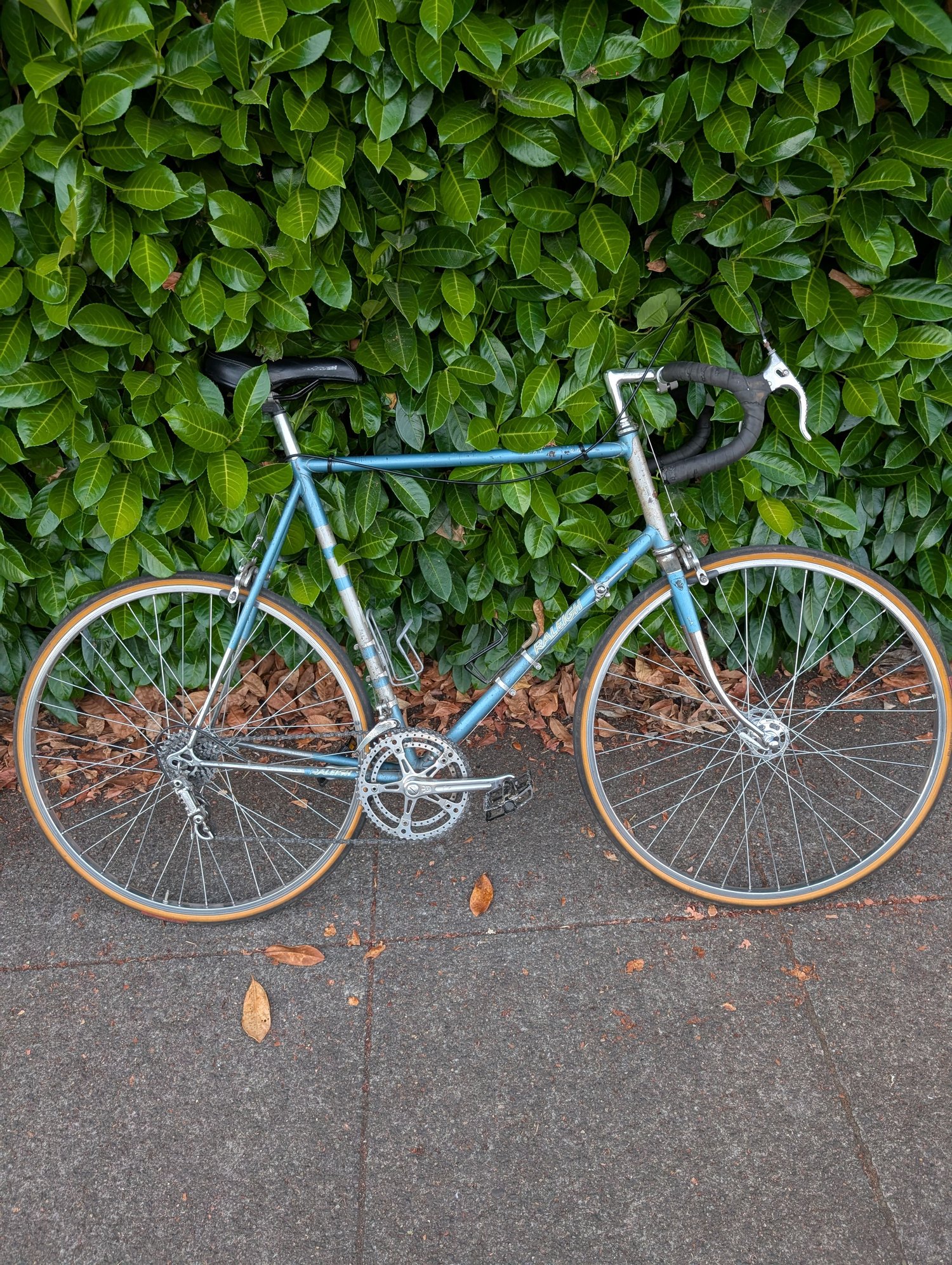 Two steps forward, one step back (N-2+1) Raleigh Pro - Bike Forums