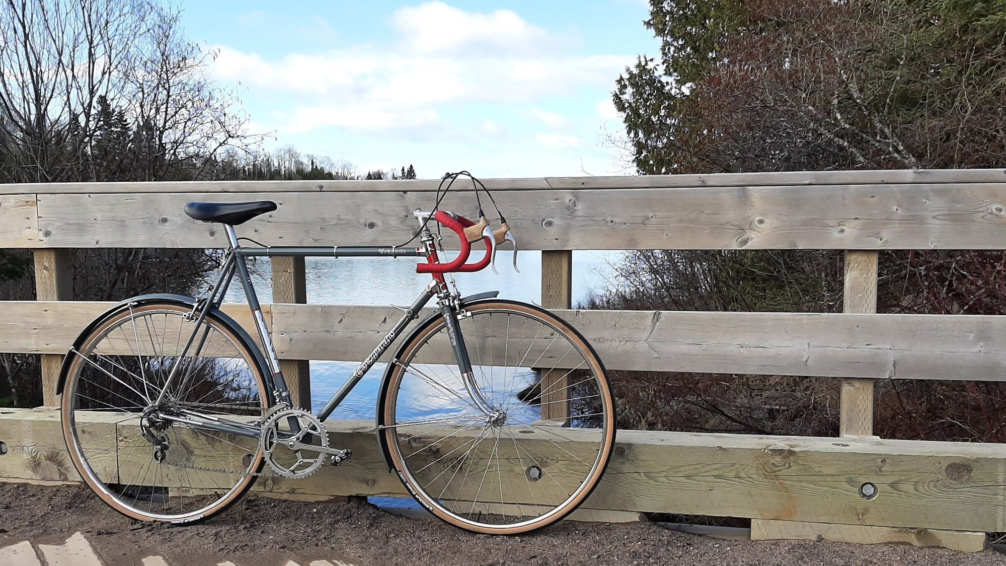 Bike Forums - Tell me about this Raleigh bike