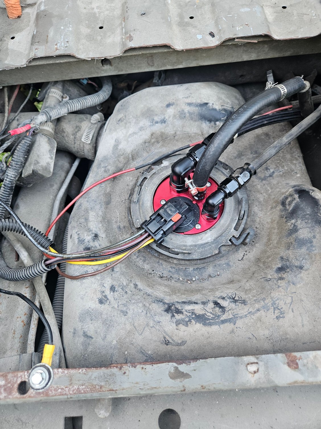 4th Gen Camaro Haltech Rebel LS Install - Page 8 - LS1TECH - Camaro and ...