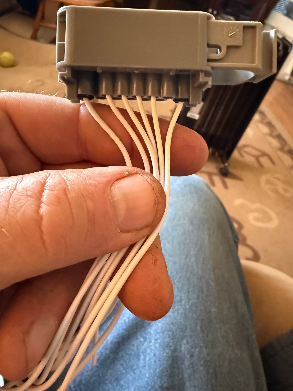 2005 PNSS Pin out/wire ID question - LS1TECH - Camaro and Firebird ...