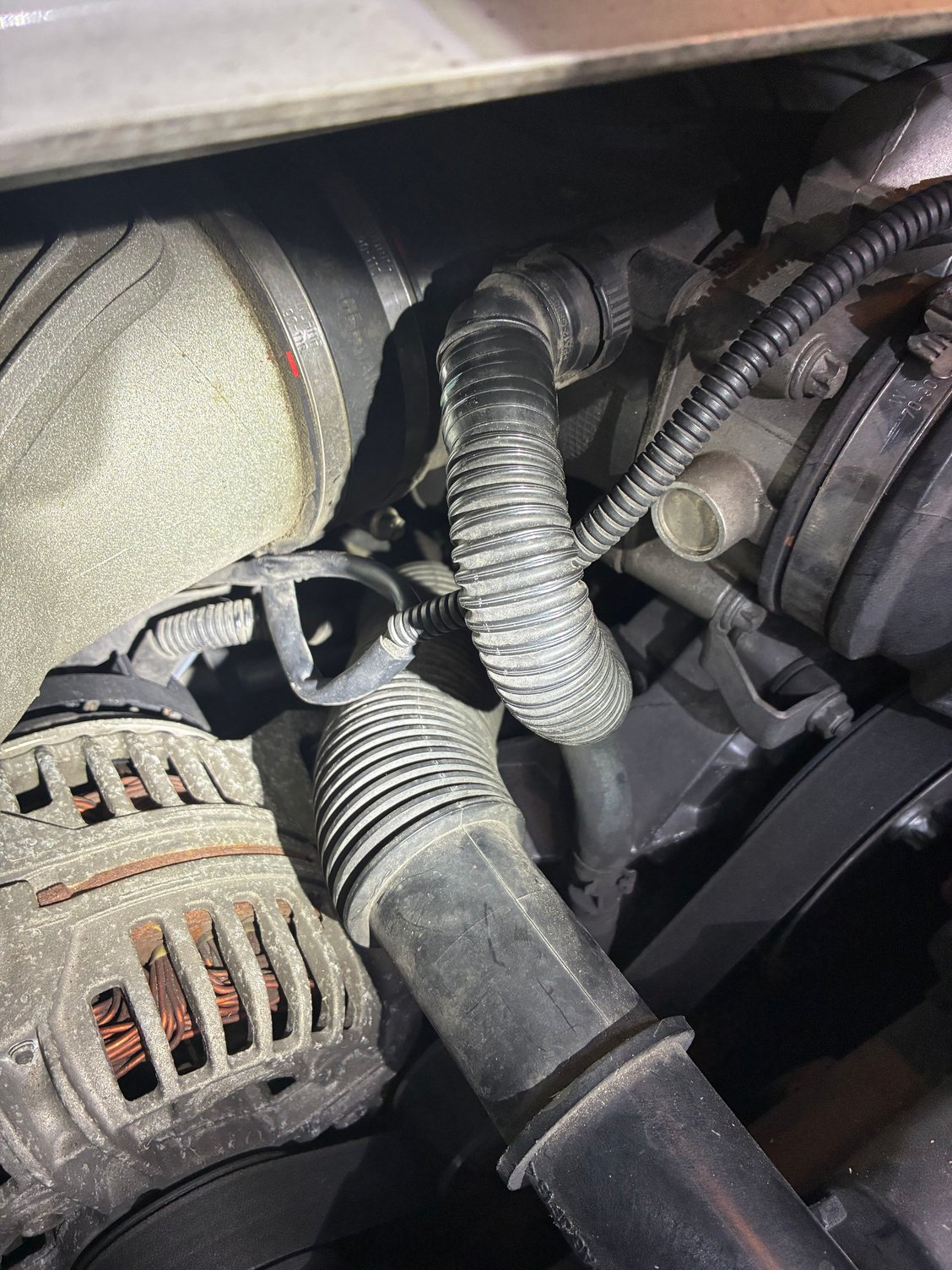 Is thsi line for the gas tank vent hose ?? - Rennlist - Porsche ...