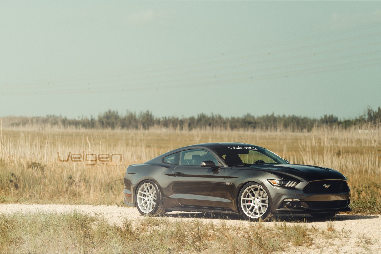 Aggressive Fitment Thread | Page 24 | 2015+ S550 Mustang Forum (GT ...