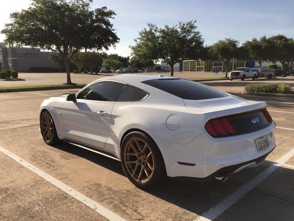 Mustang Gold - xmotorstore.com