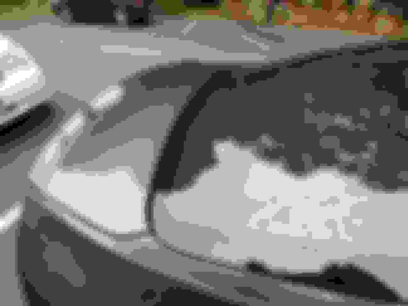 Opening Trunk after rain stops - Page 2 - AudiWorld Forums