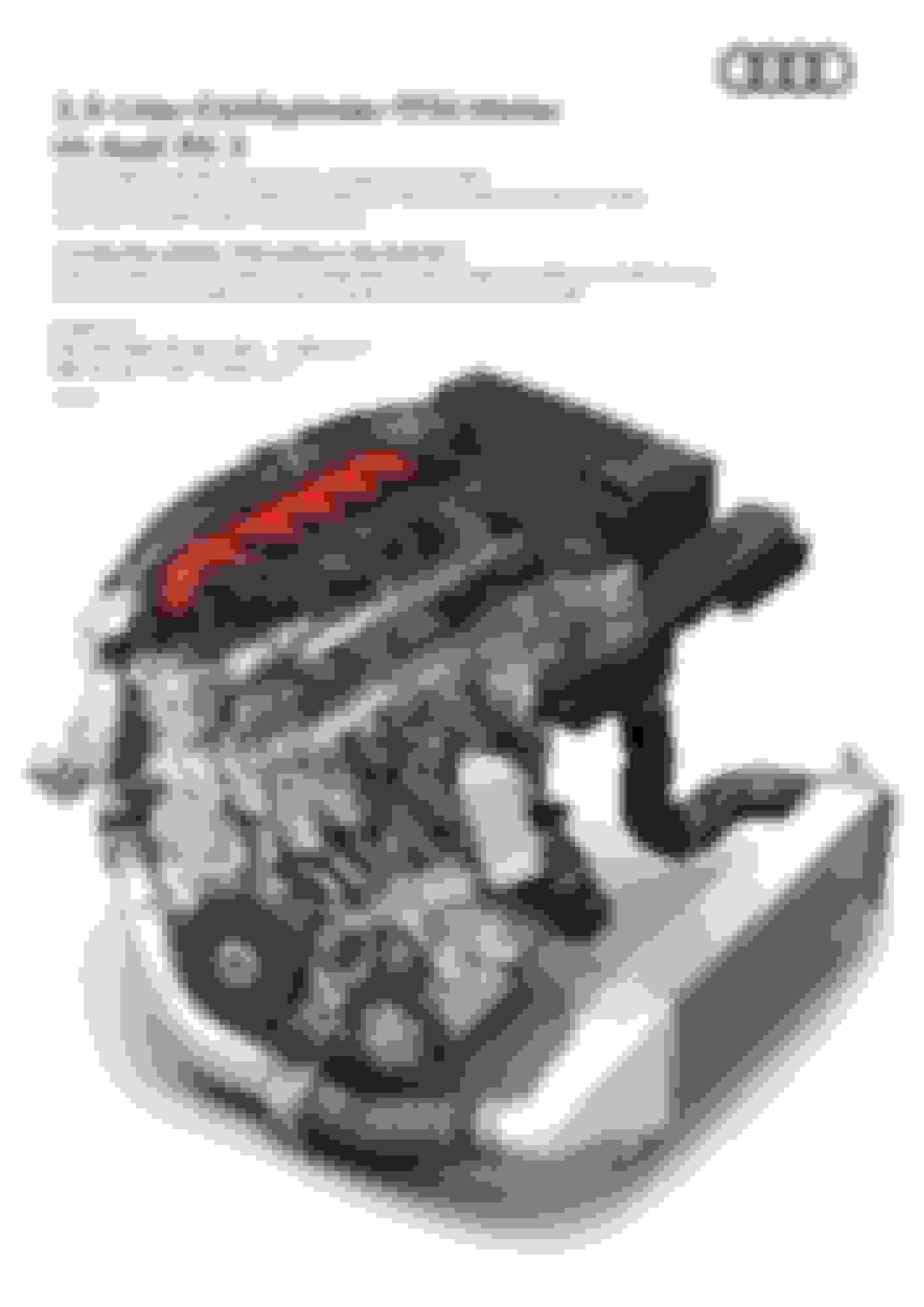 2018 RS3 Images and diagrams - AudiWorld Forums
