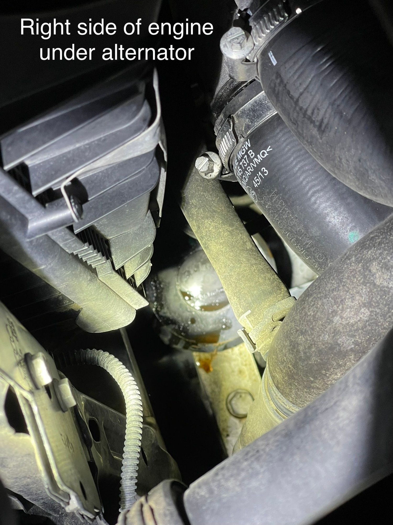 HELP! Audi Q7 TDI Leak - AudiWorld Forums