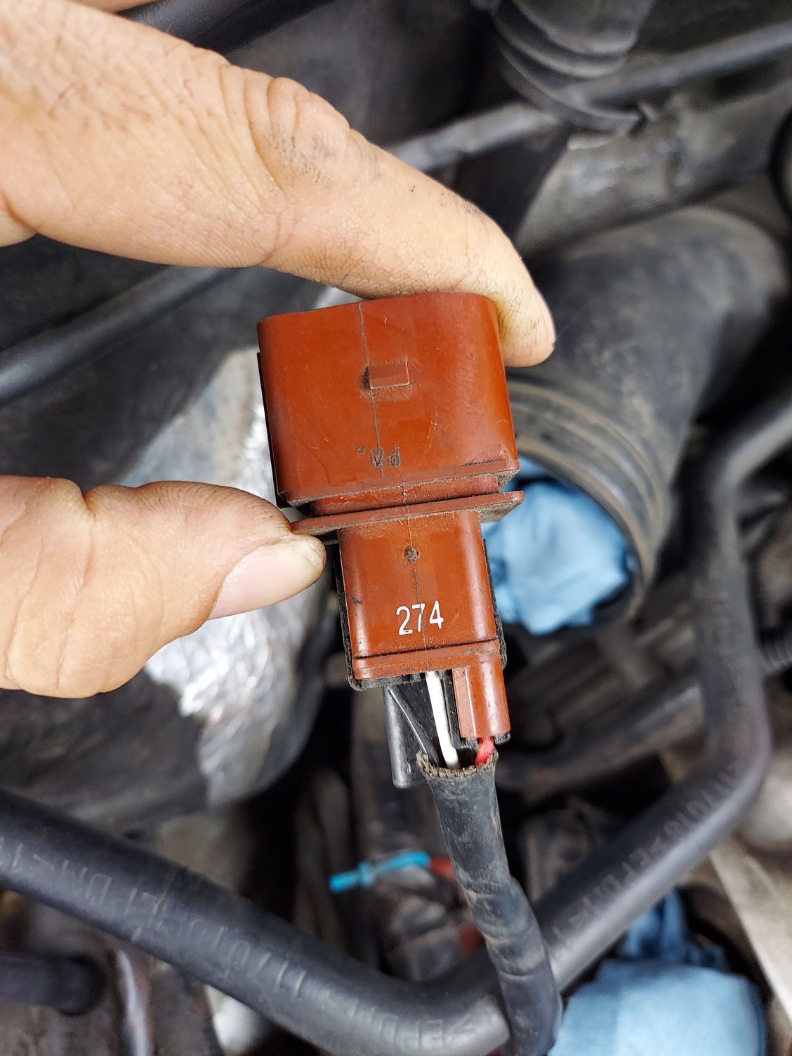 Help me find where this plugs in? - AudiWorld Forums