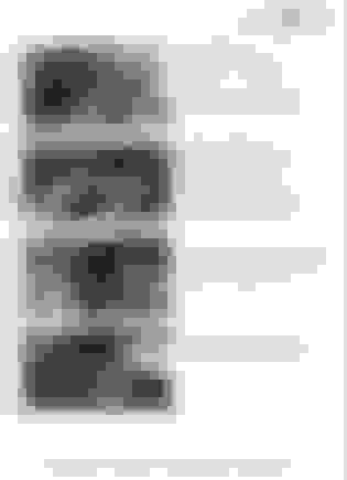 Cete Active Valve Controller Install - AudiWorld Forums