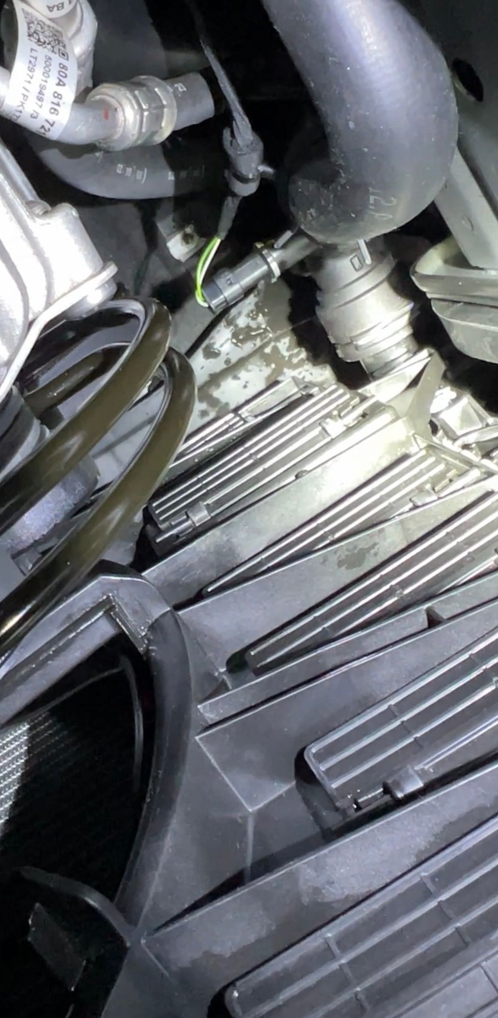 Problem of radiator oil leakage... - AudiWorld Forums