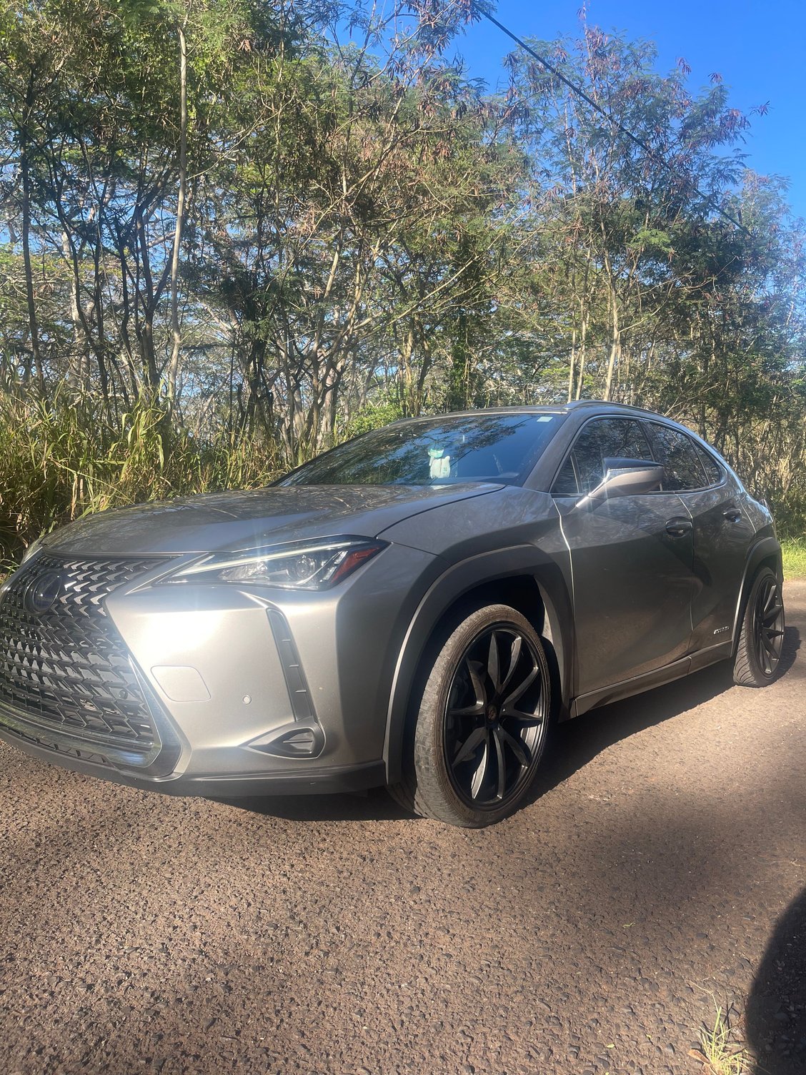 Lexus UX Godspeed lowering springs (+updates on Miko) - ClubLexus ...