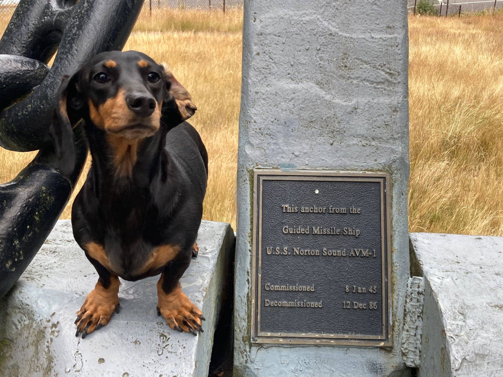 I personally defeated naval stealth technology today. A personal ...