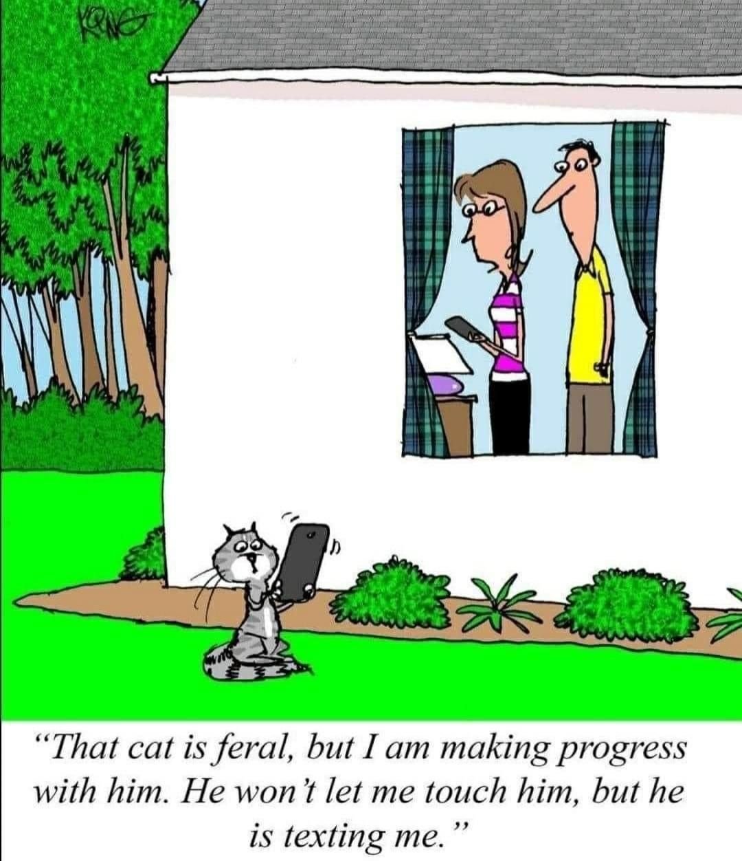 Friday Funnies +-*+-* - CorvetteForum - Chevrolet Corvette Forum Discussion