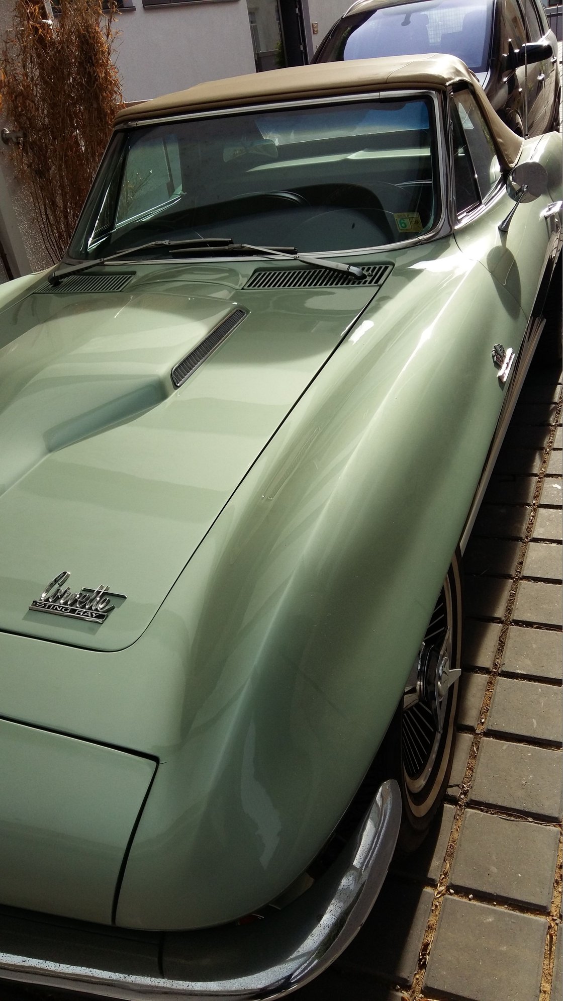 Color casdade green the same as mosport green? - CorvetteForum ...