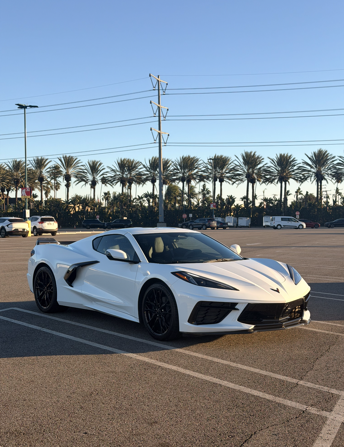 New Member - First Corvette - CorvetteForum - Chevrolet Corvette Forum ...
