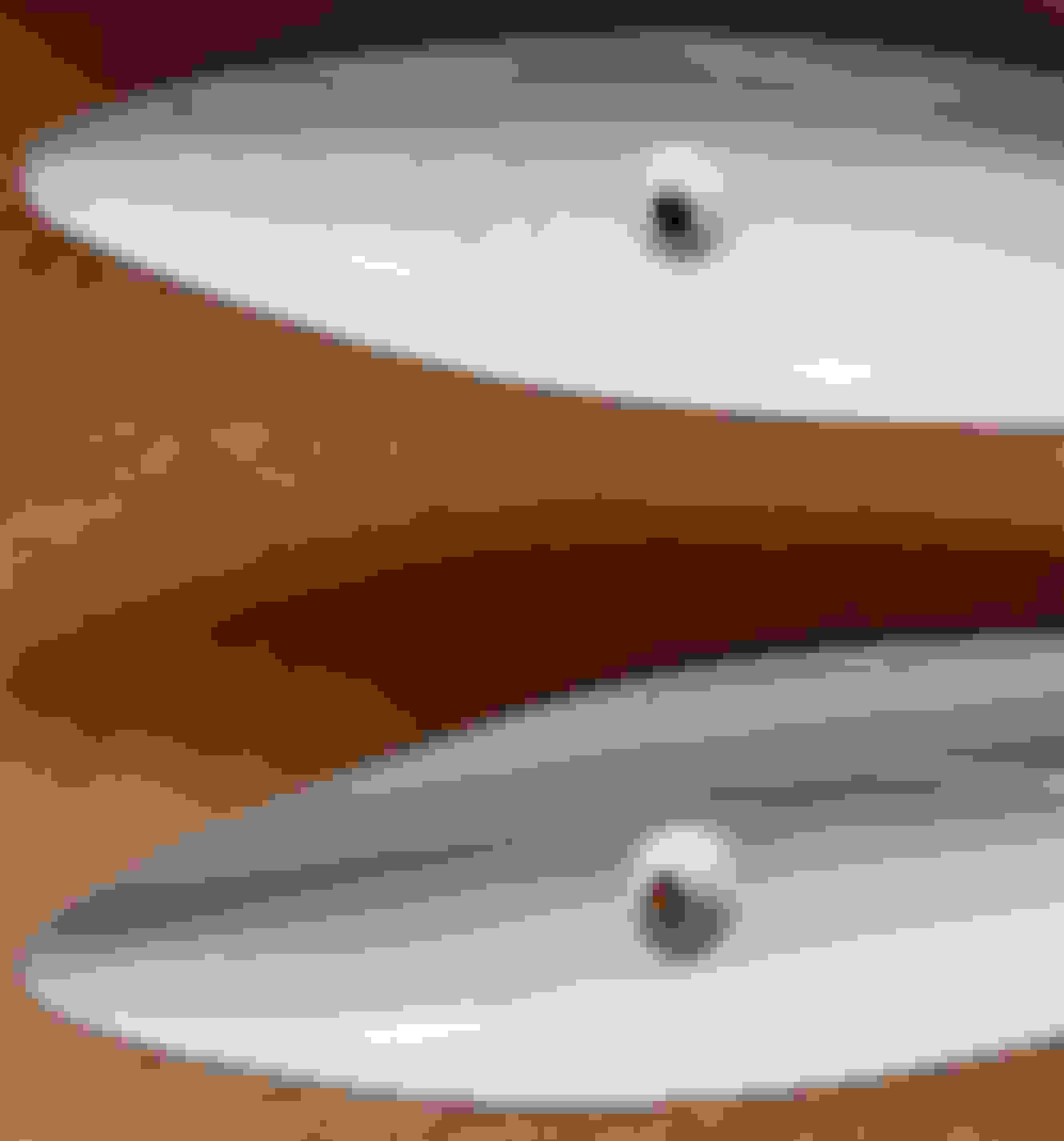 FS (For Sale) 1954 late-1955 Inner Door Pulls (2) 4-hole design ...