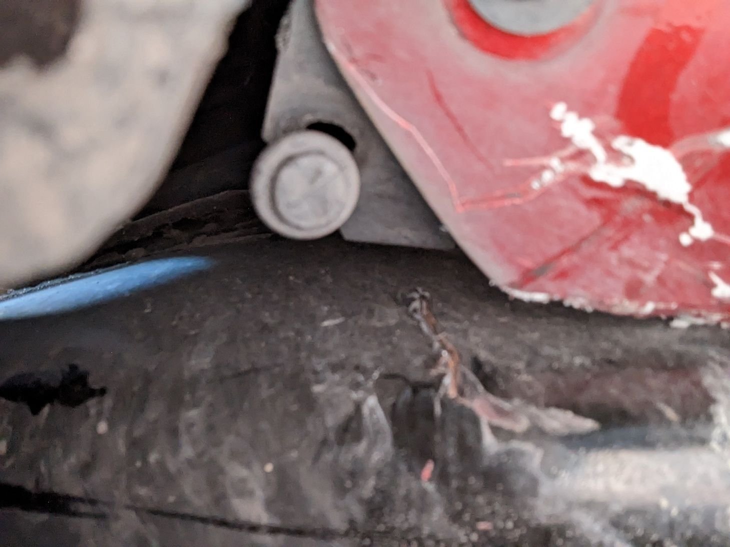 Need help assessing the rocker panel damage - CorvetteForum - Chevrolet ...