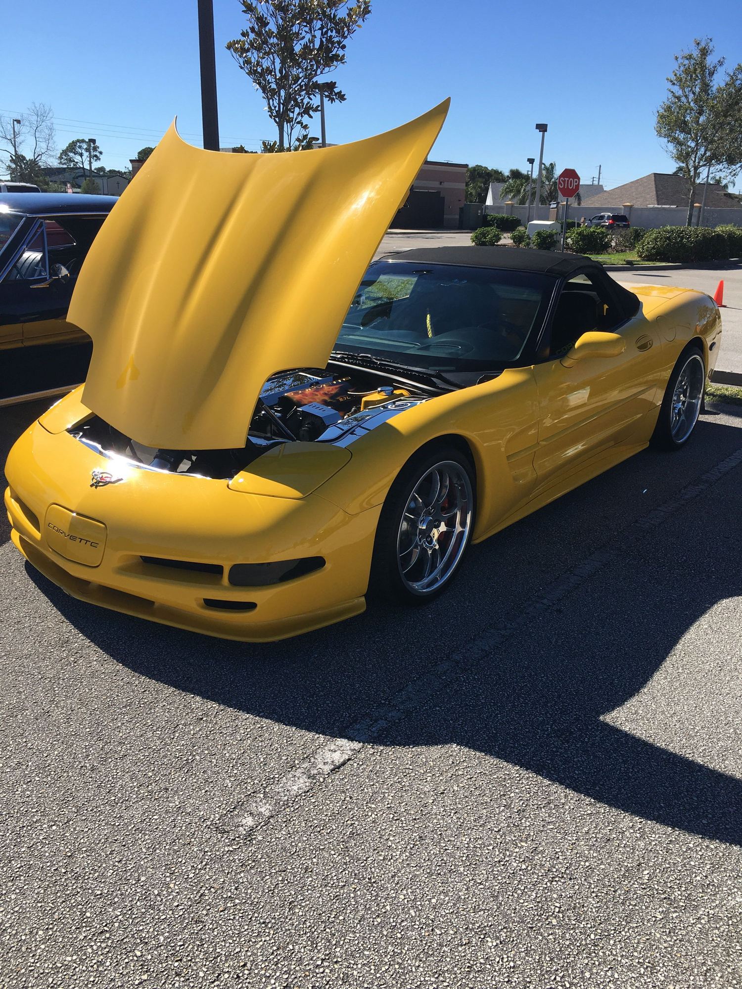 FS (For Sale) 2004 One of a kind C5 Corvette Custom - CorvetteForum ...