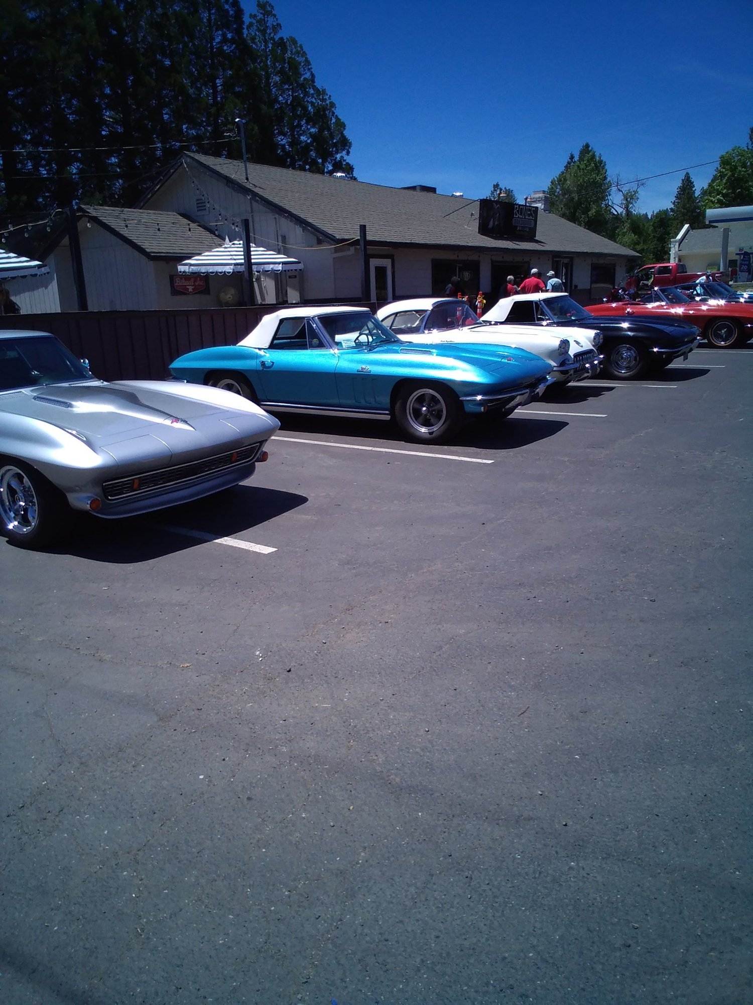 Corvettes at Bones Roadhouse today - CorvetteForum - Chevrolet Corvette ...