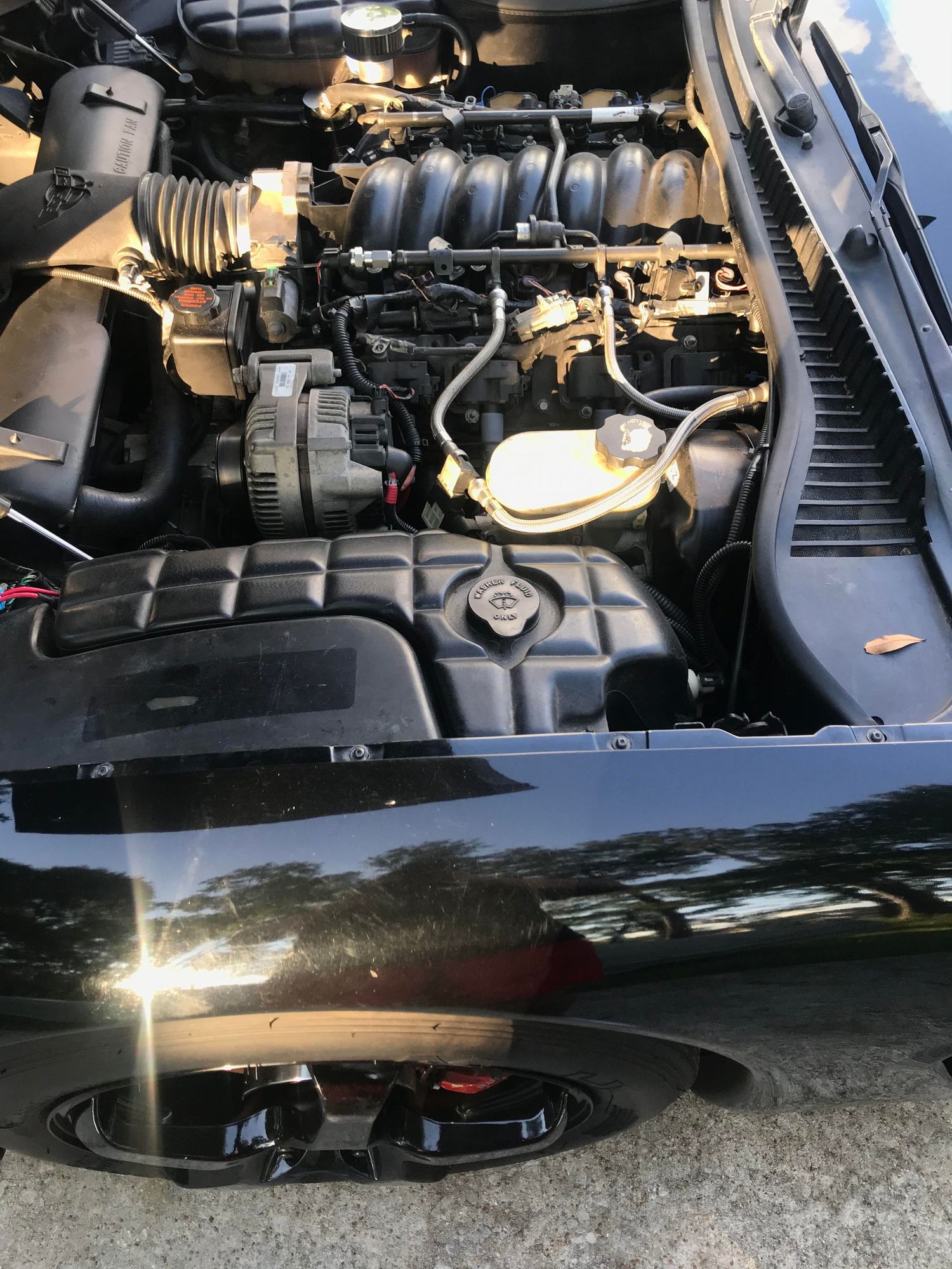 C5 Corvette Flex Fuel with P59 pcm conversion - CorvetteForum ...