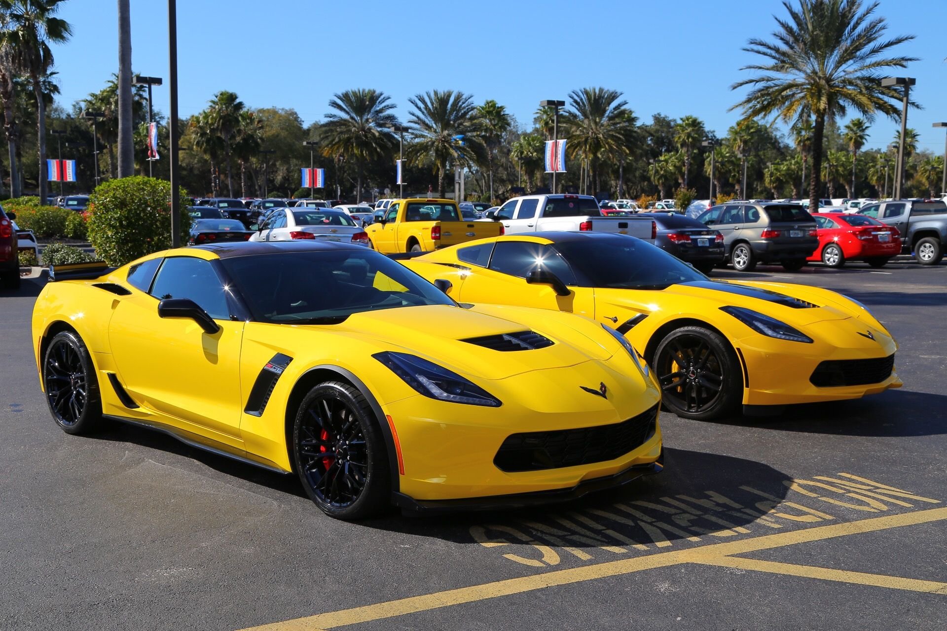 Painting back of C7 body color? - CorvetteForum - Chevrolet Corvette ...