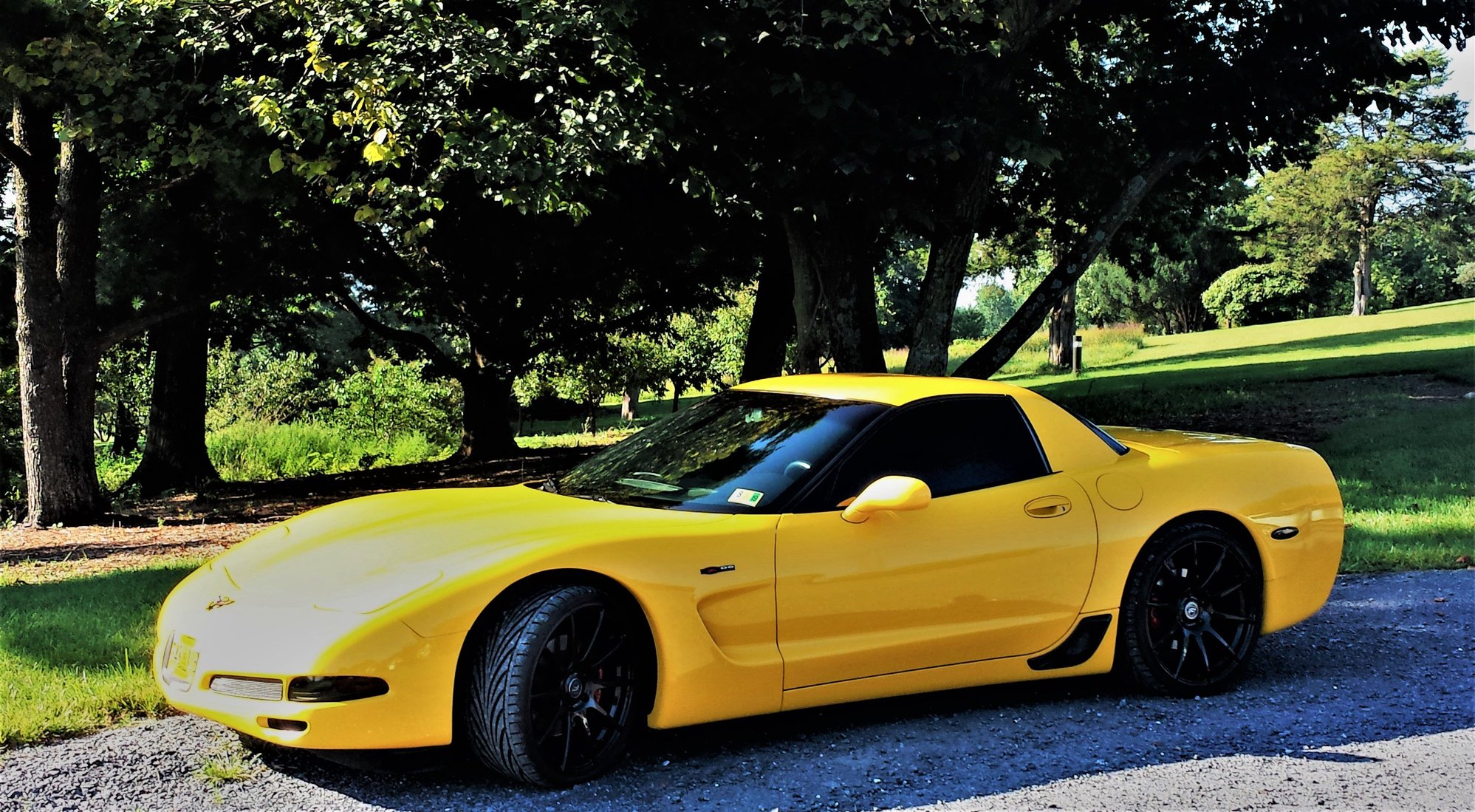 Z06 Forgestar CF10 on C5 - CorvetteForum - Chevrolet Corvette Forum ...