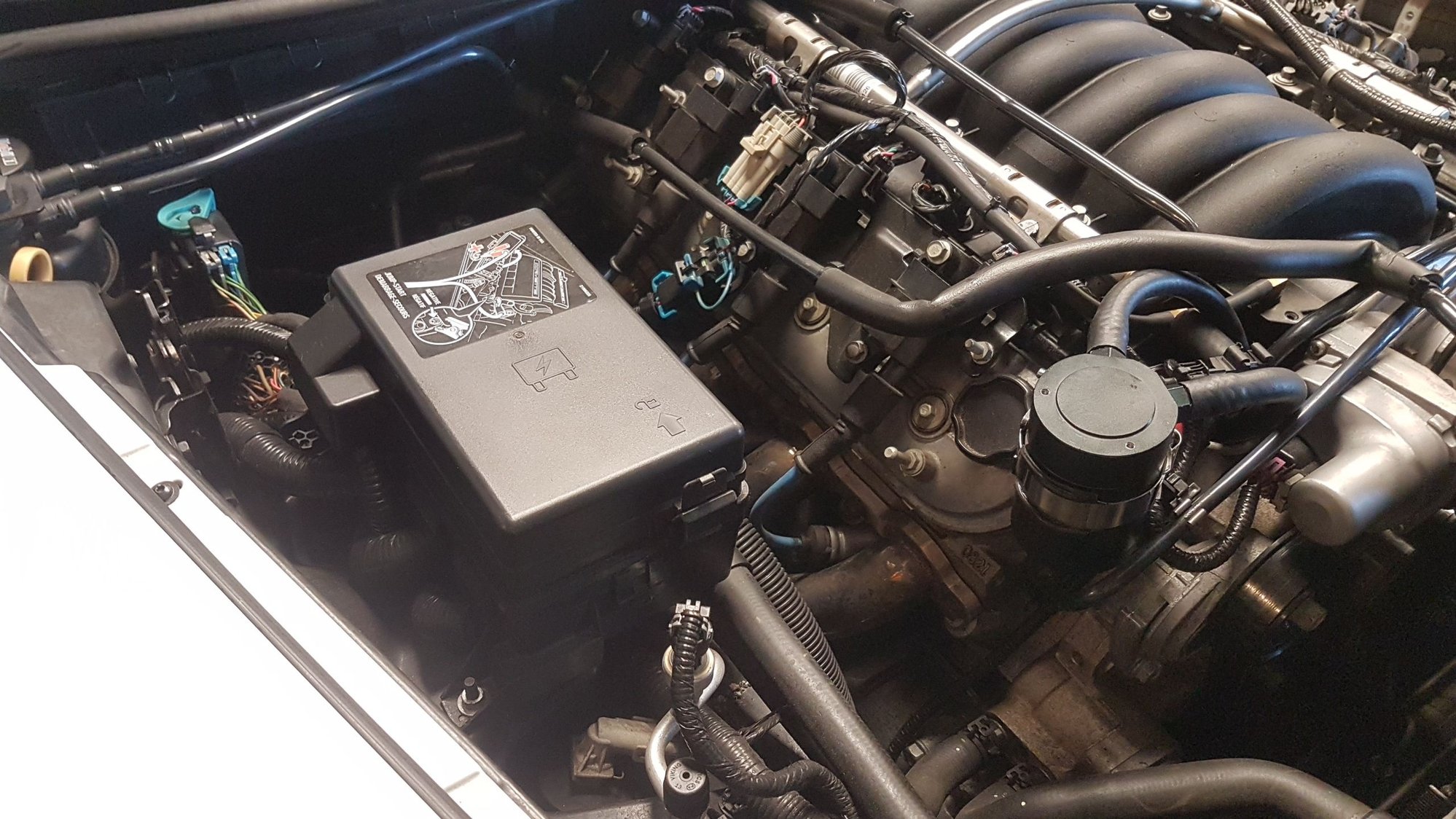 2013 GS LS3 Oil Catch Can? - CorvetteForum - Chevrolet Corvette Forum ...