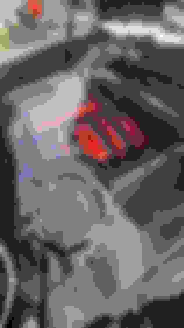 C8 htc engine window cover - CorvetteForum - Chevrolet Corvette Forum ...