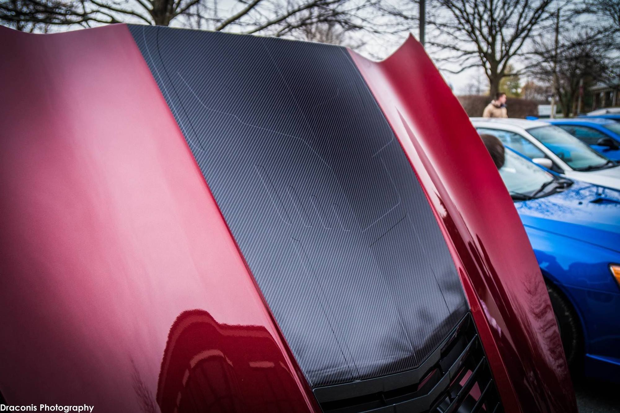 Custom wrap on C7 Z51 - CorvetteForum - Chevrolet Corvette Forum Discussion