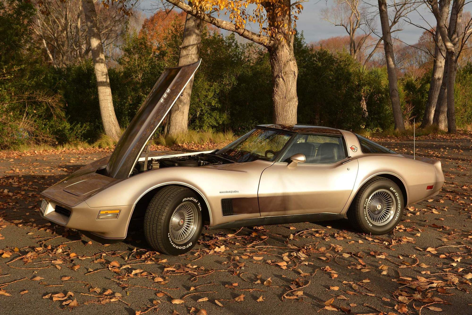 FS (For Sale) ‘82 corvette c3 wheel rims & tires only!! Collectors ...