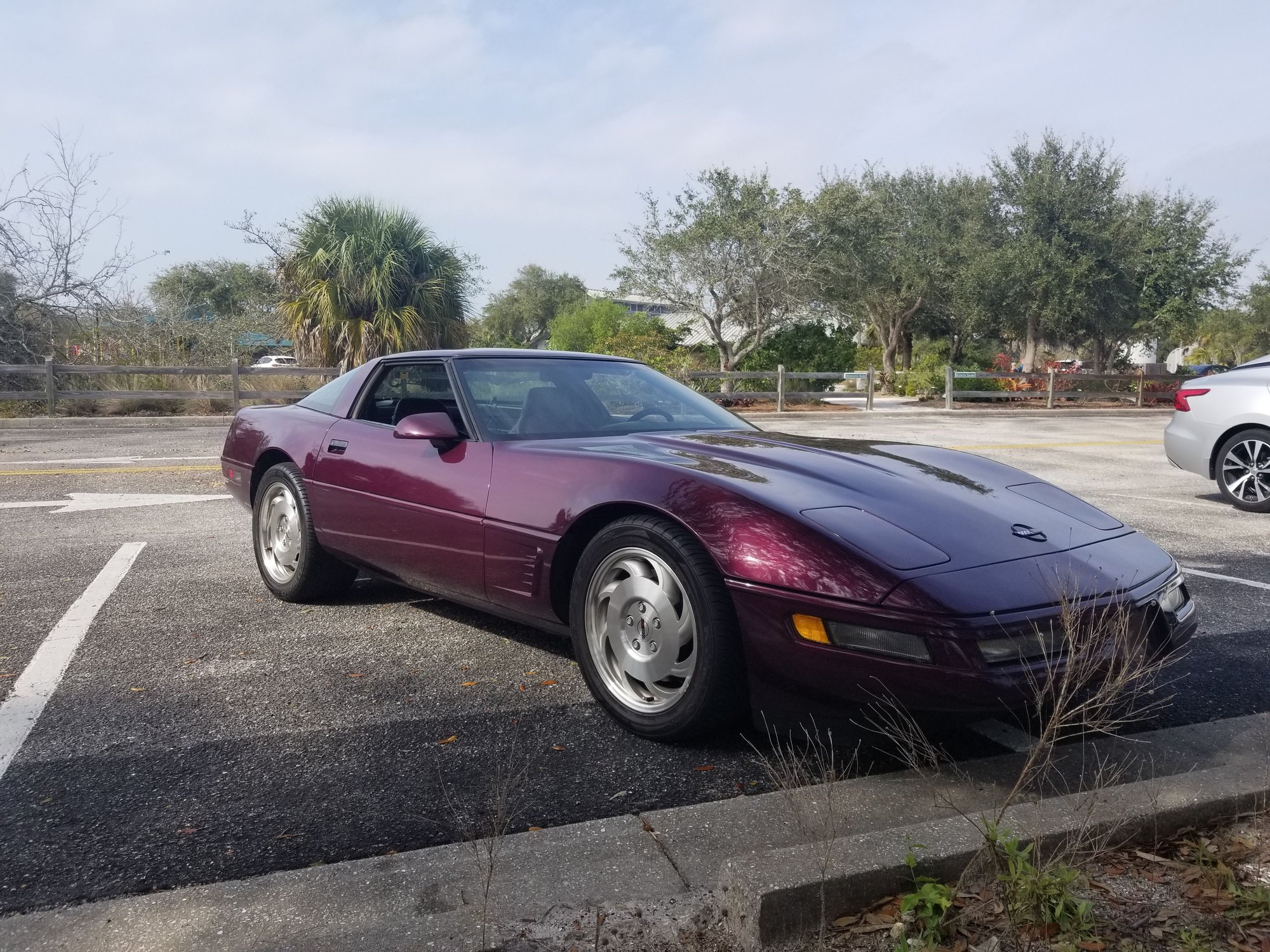 The Dark Purple Metallic Thread - CorvetteForum - Chevrolet Corvette ...