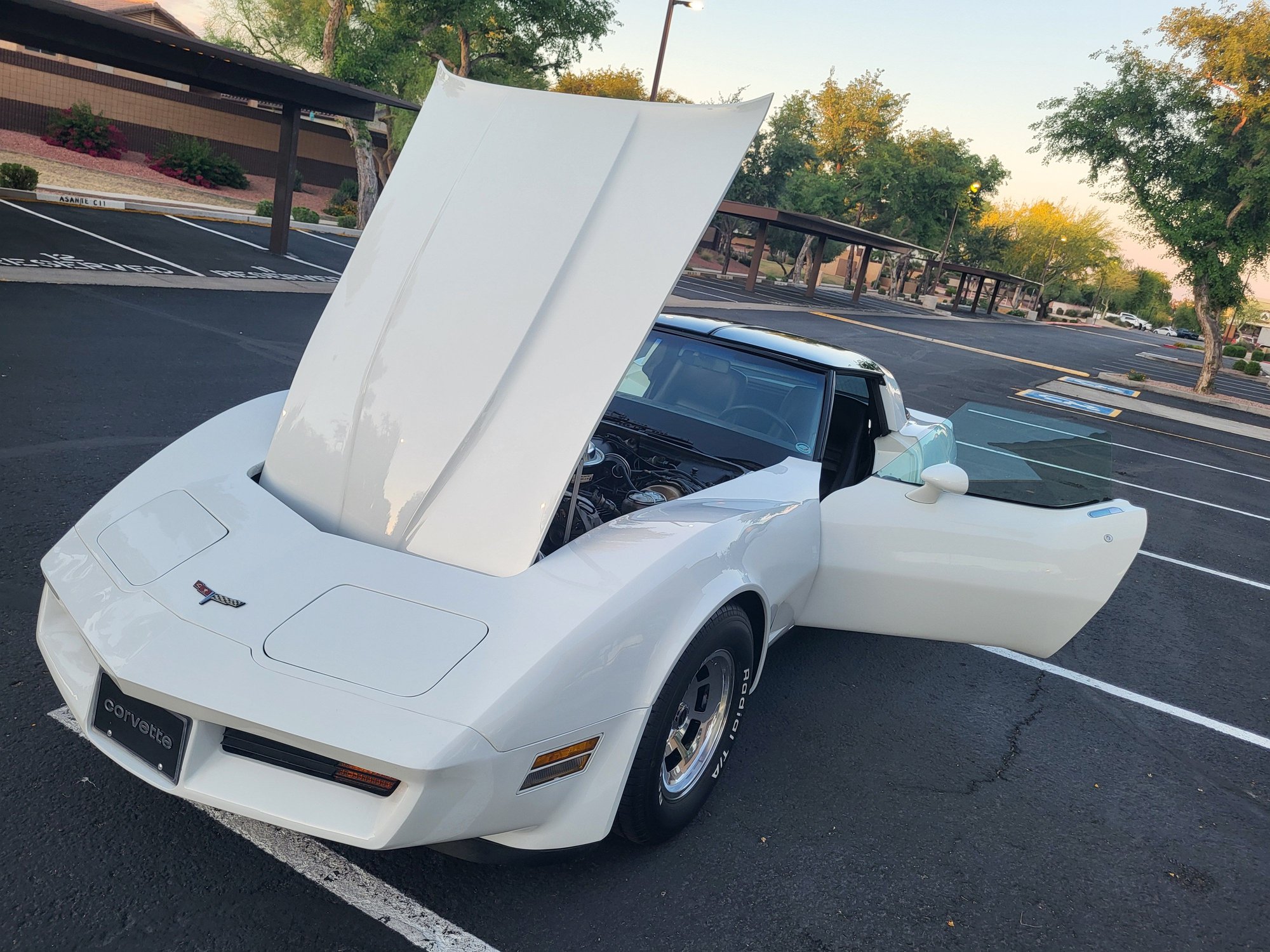 FS (For Sale) Exceptional 1980 L48 corvette - CorvetteForum - Chevrolet ...