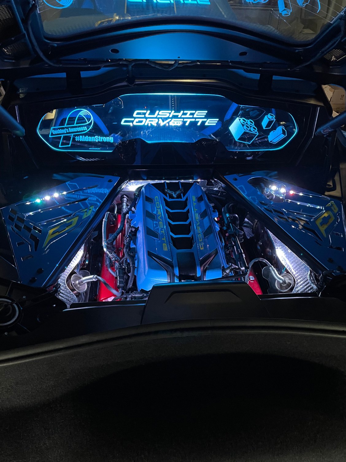 Engine bay LED lights - CorvetteForum - Chevrolet Corvette Forum Discussion