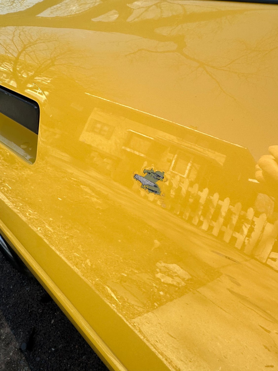 Silly fiberglass question - CorvetteForum - Chevrolet Corvette Forum ...