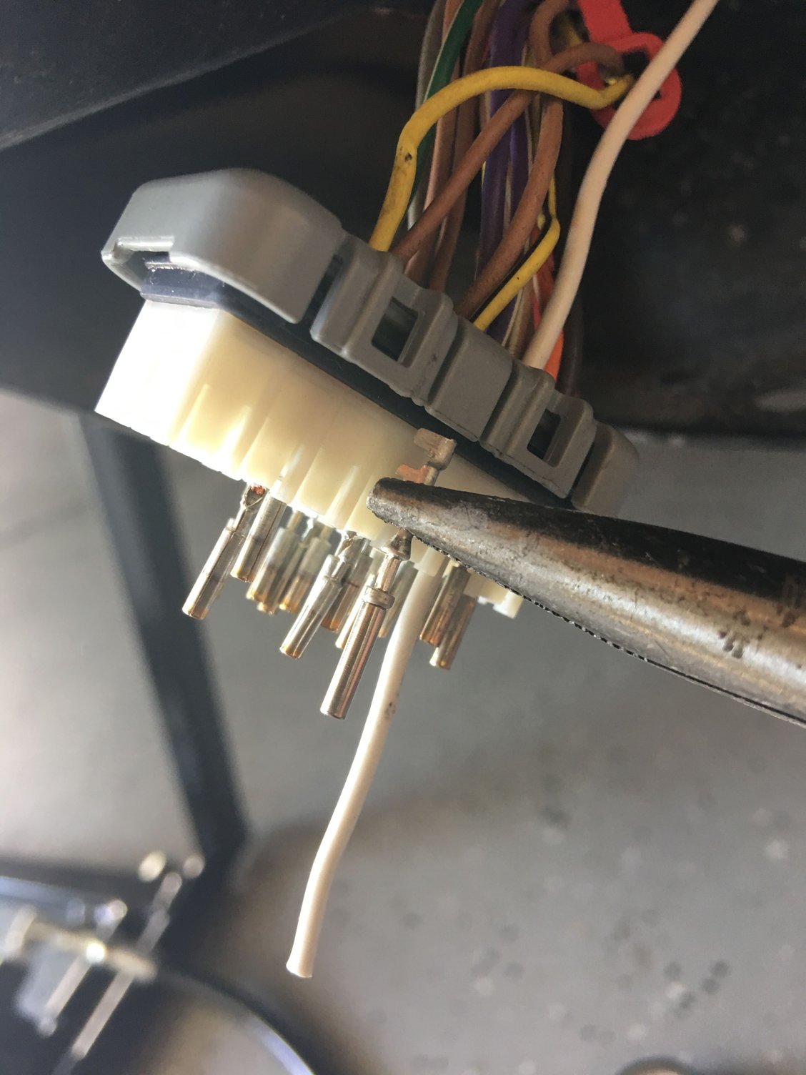 2005 C6 ECU pin/connector help - CorvetteForum - Chevrolet Corvette ...