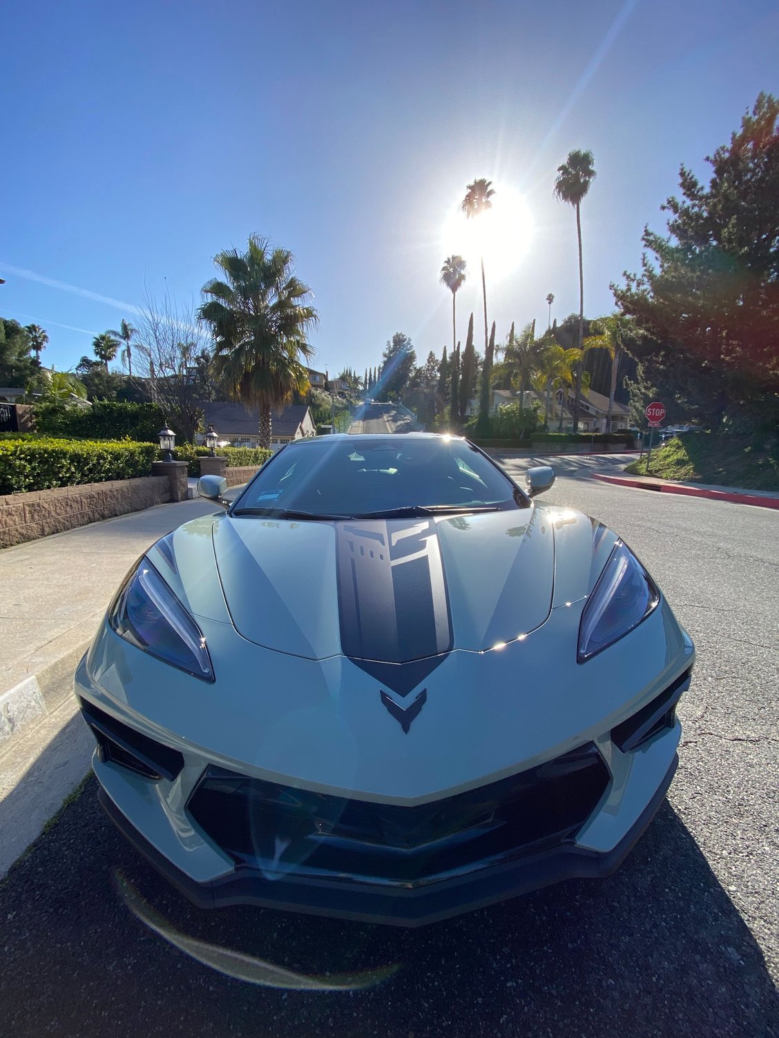 Cacti green is total class! - Page 6 - CorvetteForum - Chevrolet ...