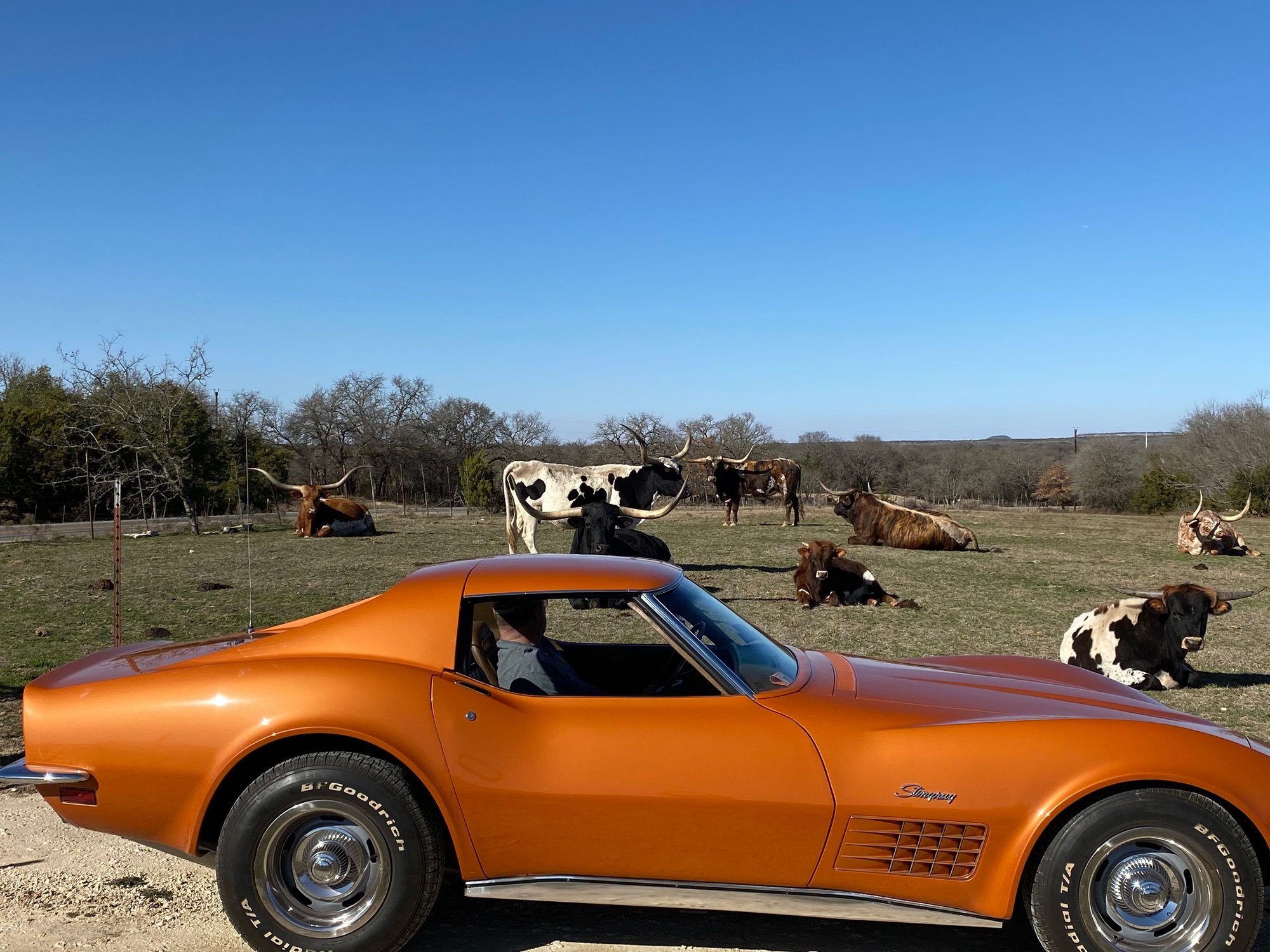 FS (For Sale) 1971 L48 Numbers Match - CorvetteForum - Chevrolet ...