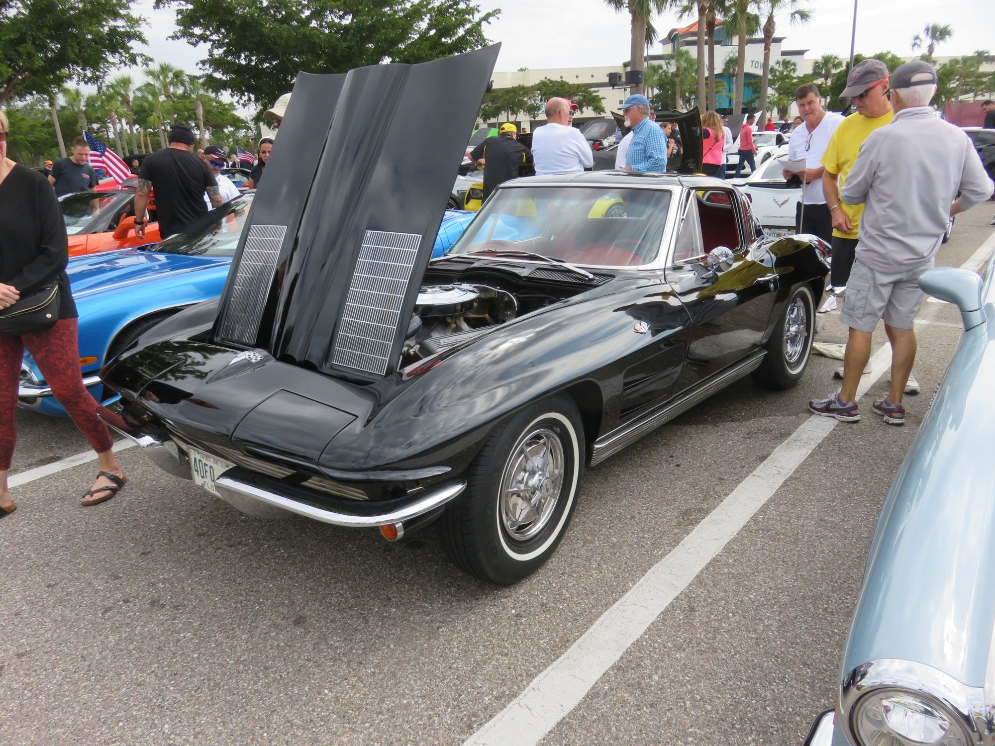 C1 Corvettes vs. Mustangs - CorvetteForum - Chevrolet Corvette Forum ...