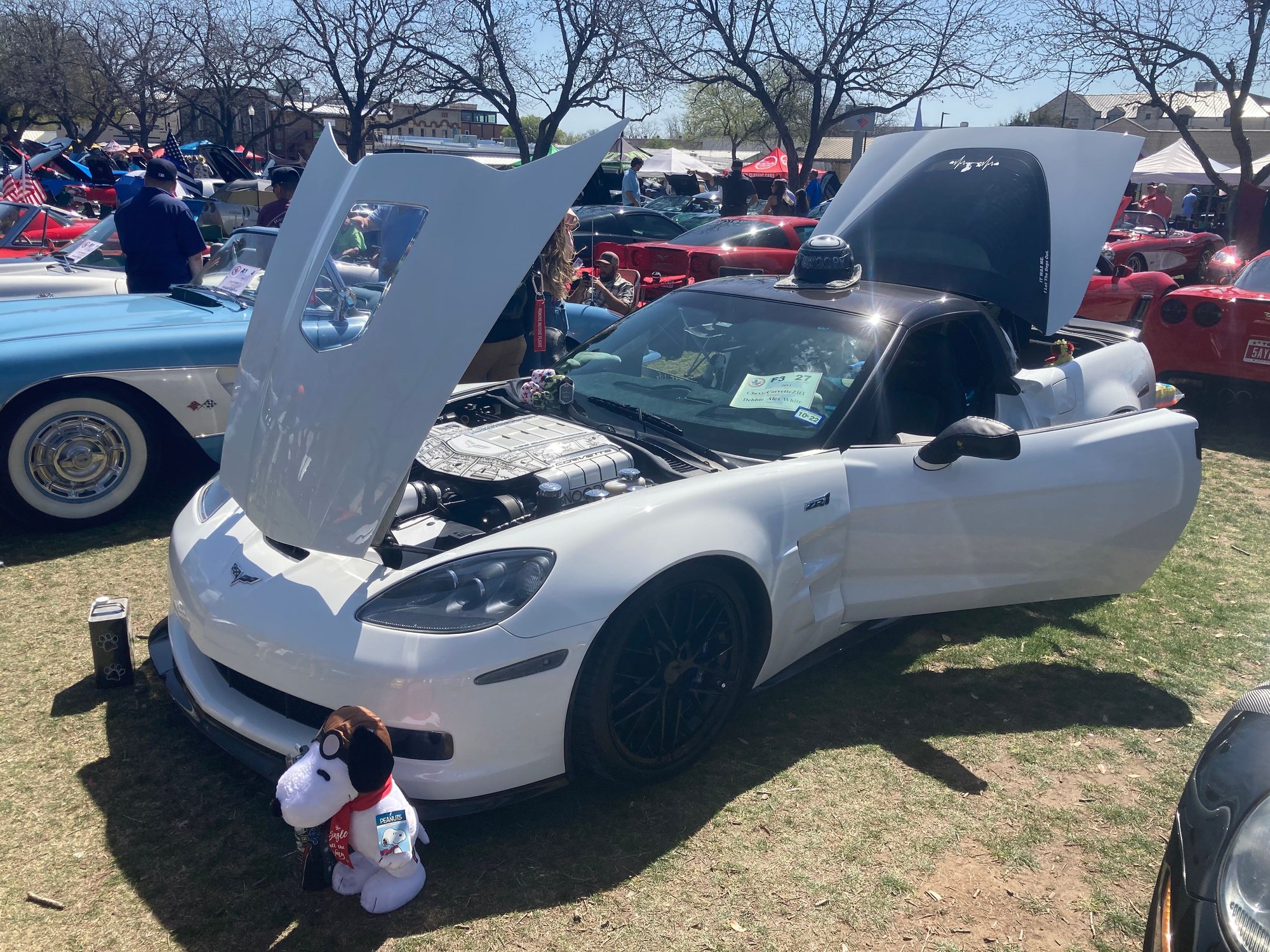 Show me your car show setup... - CorvetteForum - Chevrolet Corvette ...