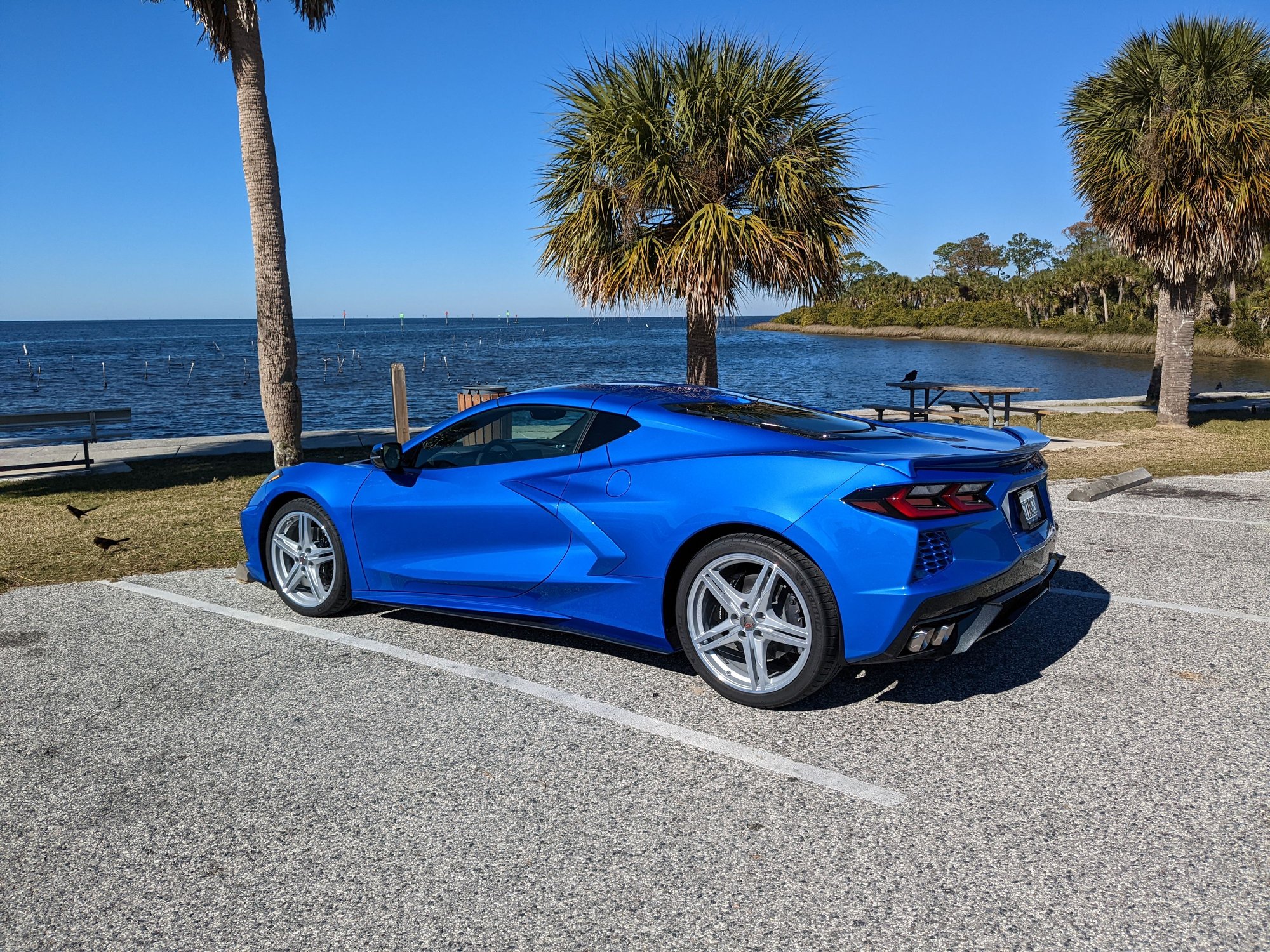 Official Riptide Blue Metallic Color Thread - Page 7 - CorvetteForum ...