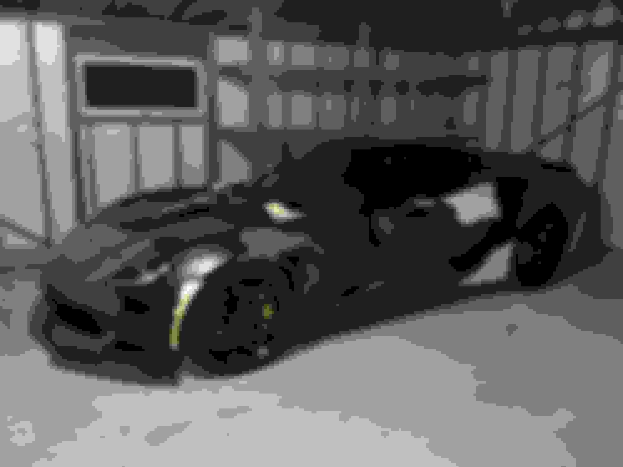 Looking to go a little faster - Page 2 - CorvetteForum - Chevrolet ...