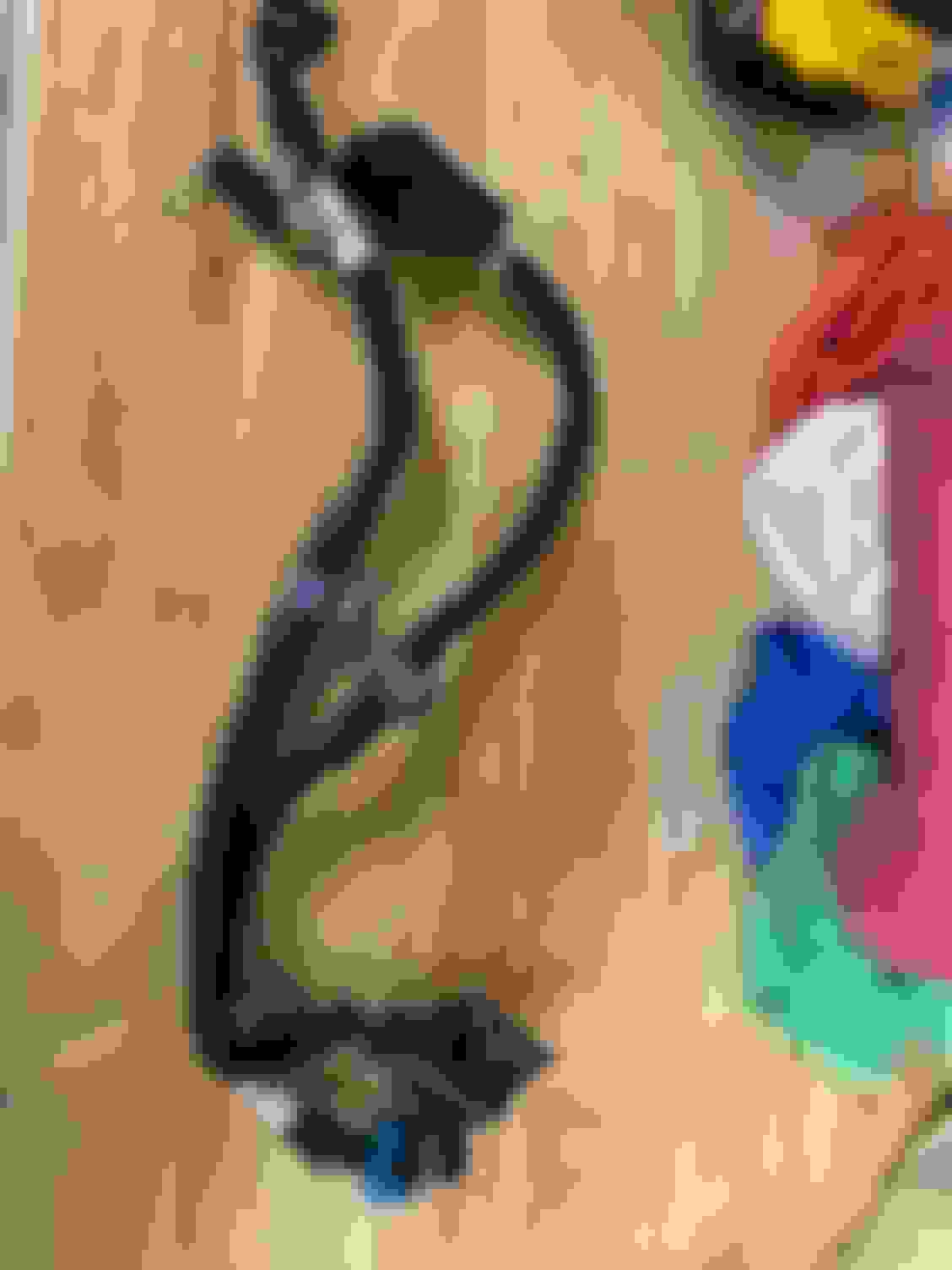 WTB (Want To Buy) Mag ride pigtail harness - CorvetteForum - Chevrolet ...