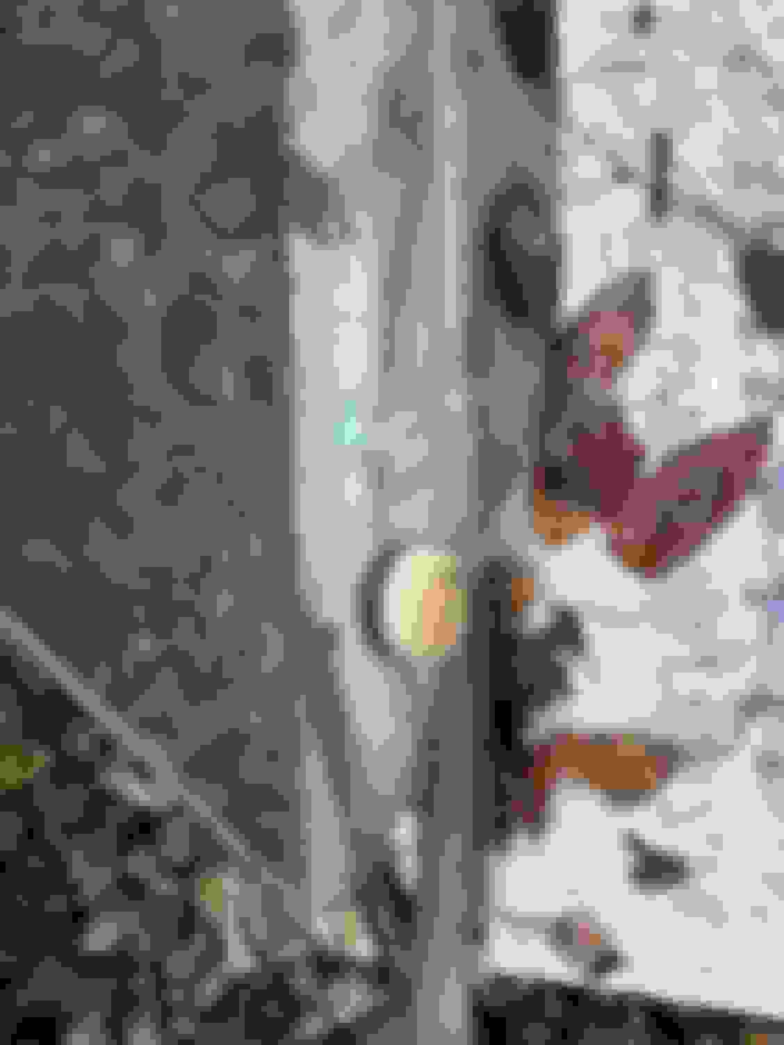 WTB (Want To Buy) FOUND Looking for a plastic window bushing cap and ...