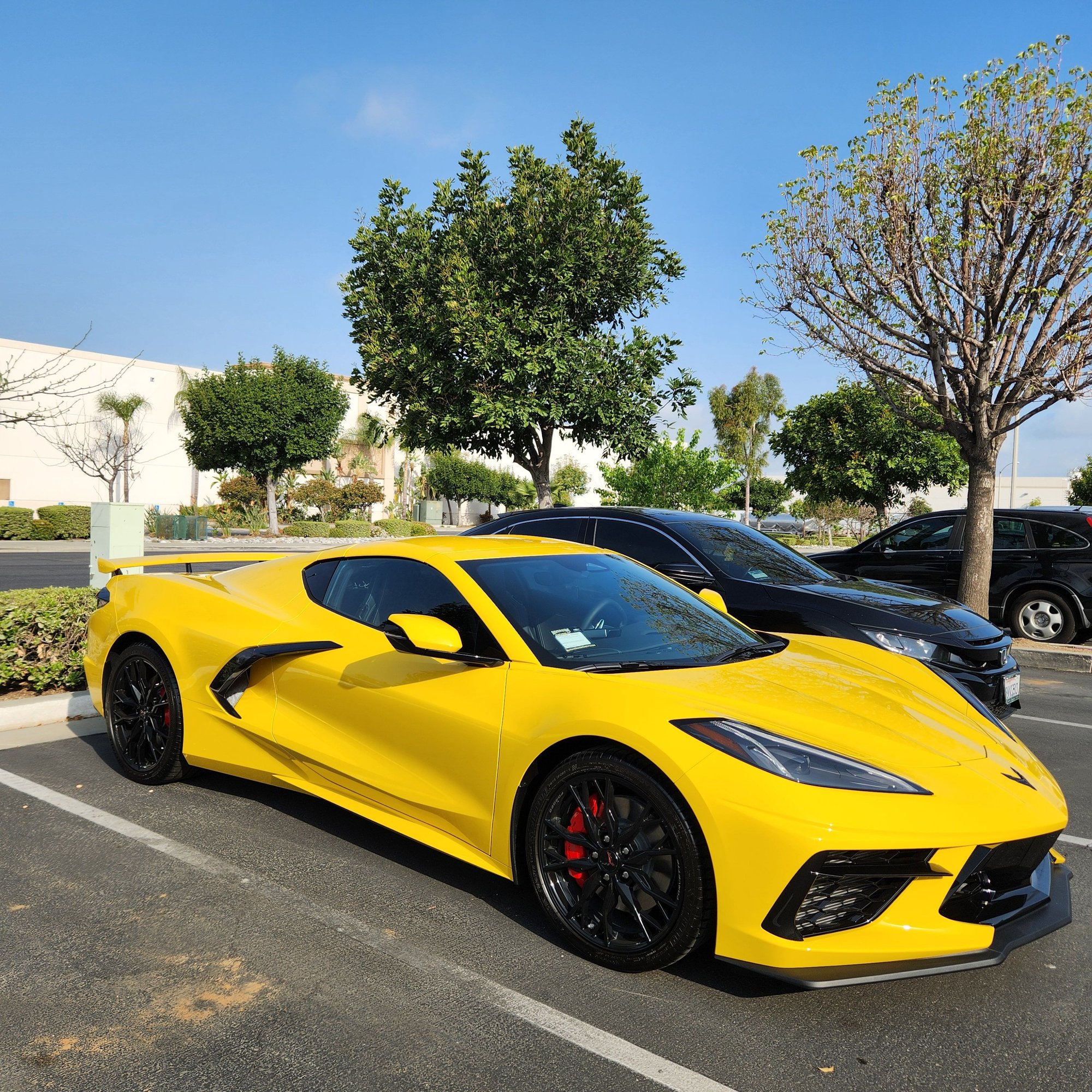 Objectively, what color best complements the C8? - Page 12 ...