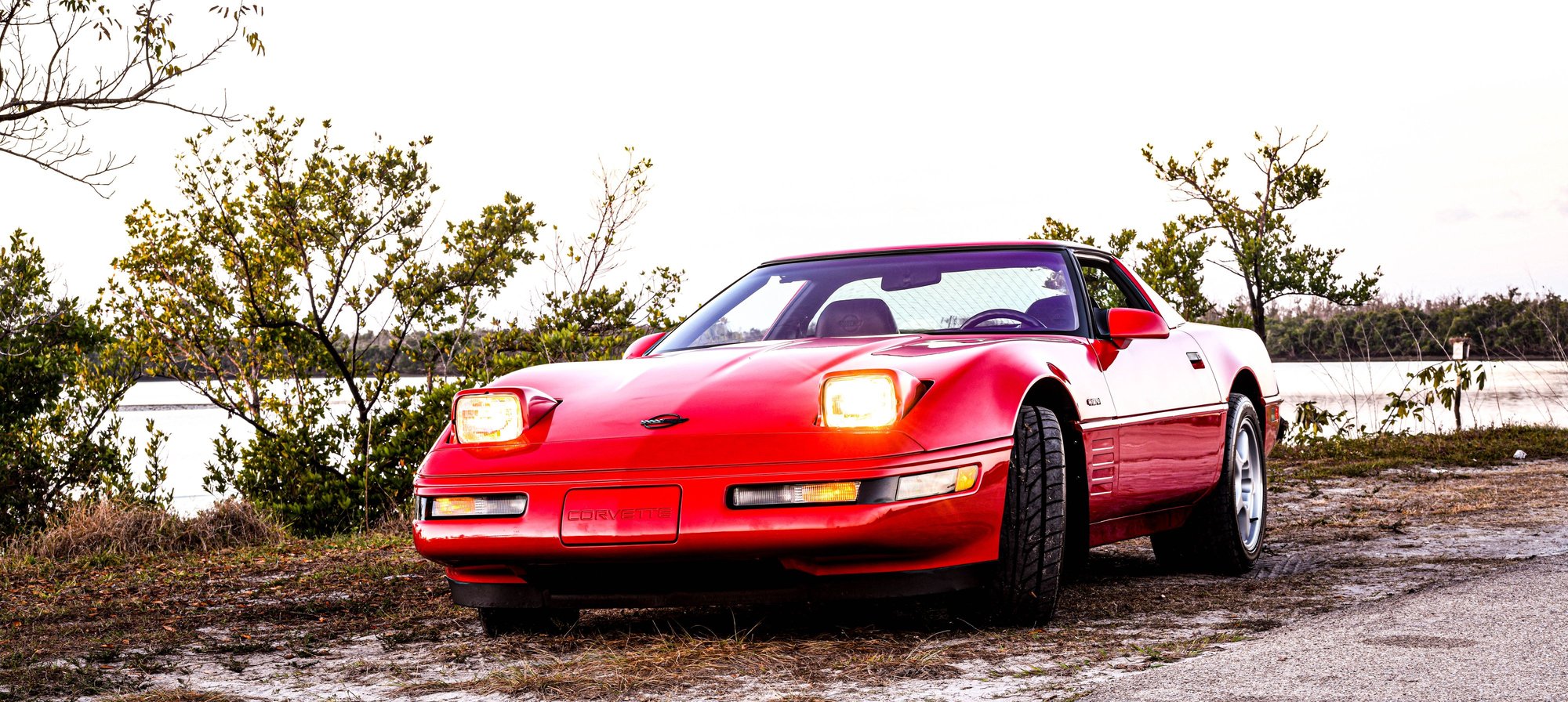 Finally received my 94 ZR1 - CorvetteForum - Chevrolet Corvette Forum ...