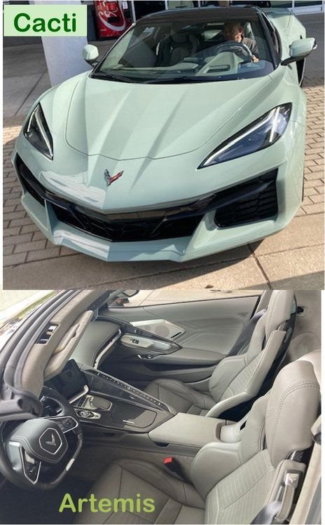 Viewing the 2024 E-Ray - CorvetteForum - Chevrolet Corvette Forum Discussion