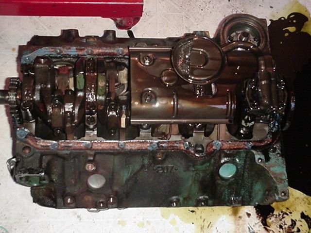 For you engine experts '80 L82 VS '81 L81? - CorvetteForum - Chevrolet ...