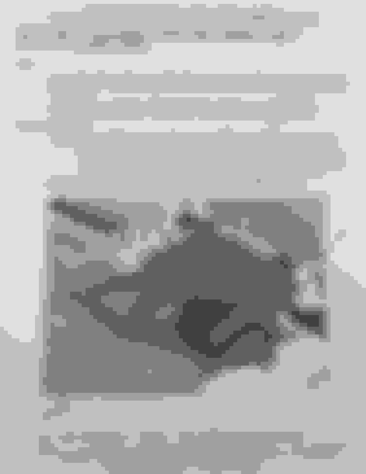 2024 DCT service schedule - CorvetteForum - Chevrolet Corvette Forum Discussion