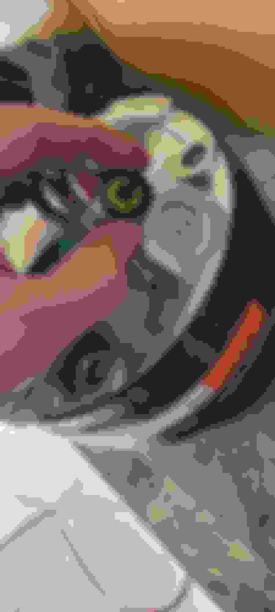 1984 A/C high pressure switch - CorvetteForum - Chevrolet Corvette ...