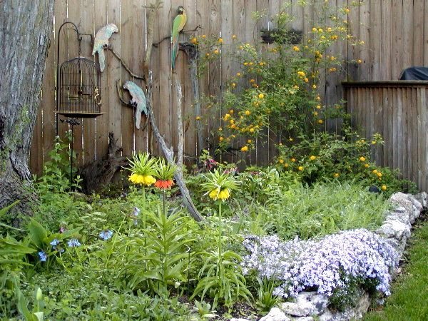 Parrot Shade Garden photo by haighr on Garden Showcase
