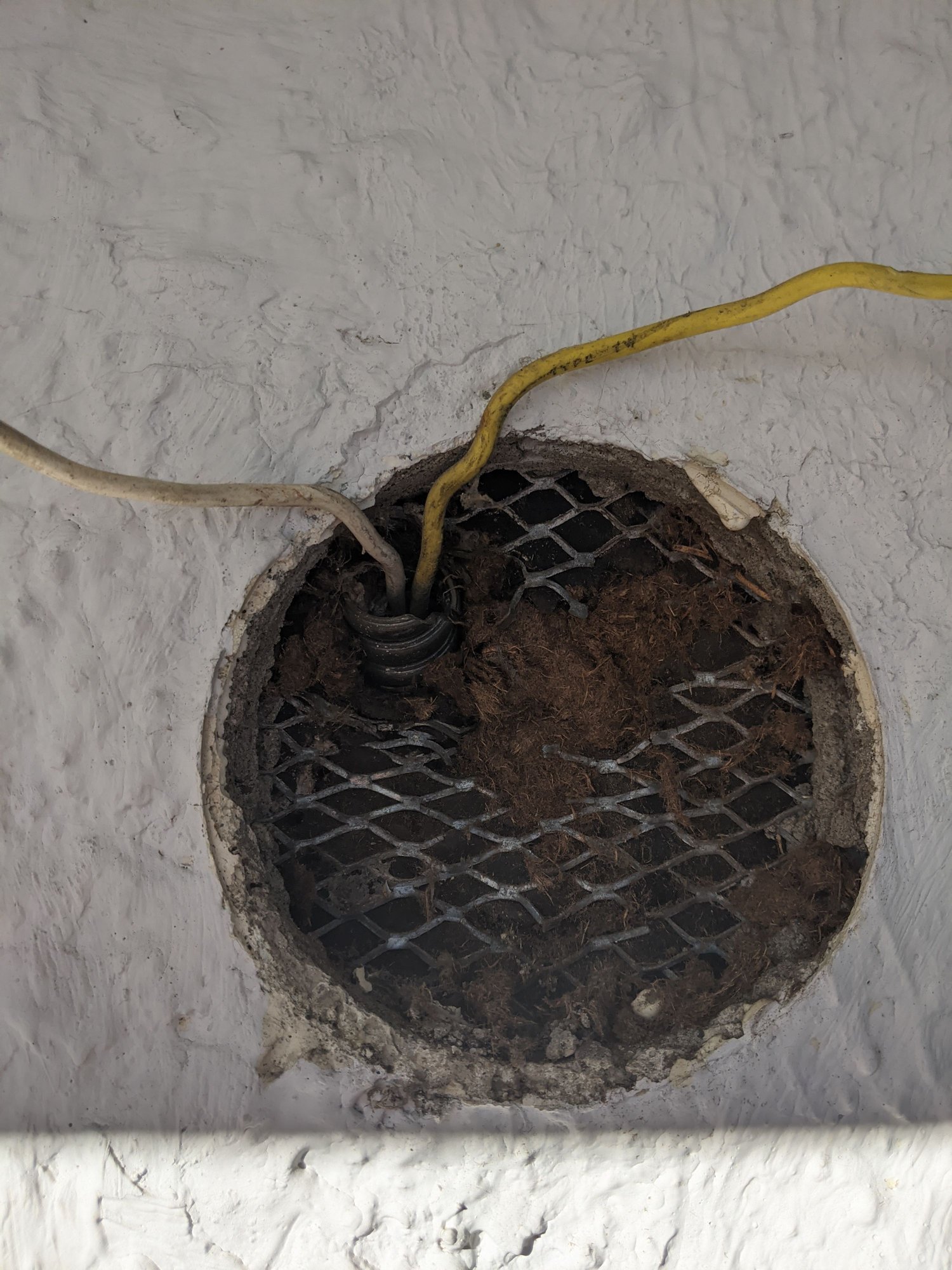 Is it damaged ceiling light or socket - DoItYourself.com Community Forums